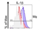 Easy, reliable Intracellular IL-1b staining | Biocompare Antibody Review