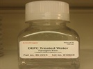 DEPC Water | Biocompare.com Kit/Reagent Review