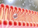 Powerful Tools for Characterizing the Lipidome | Biocompare: The Buyer ...