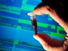 Biomarker Fingerprinting with Circulating Tumor DNA | Biocompare: The ...