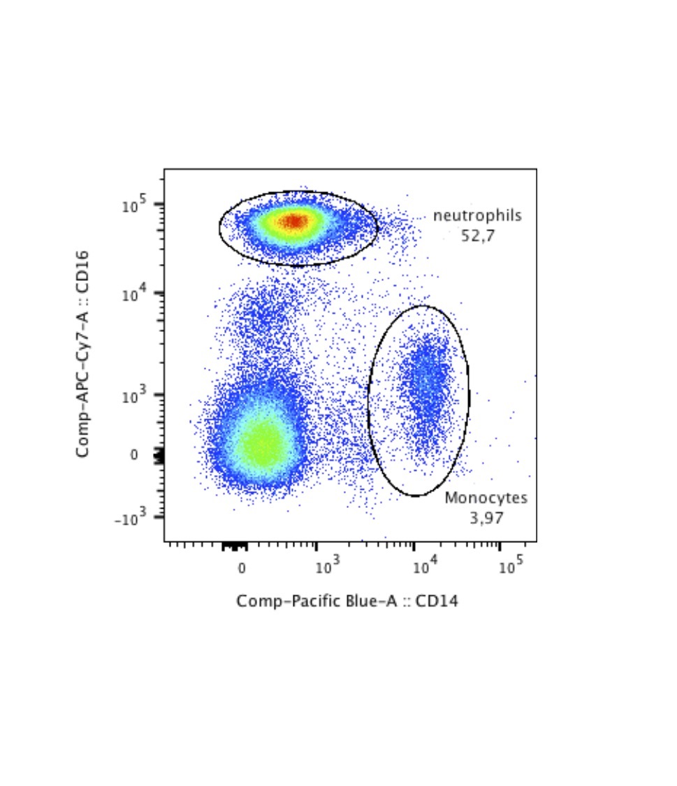 Good Antibody to Identify CD14+ T Cells | Biocompare Antibody Review