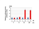 Luciferase Assay System from Promega | Biocompare.com Kit/Reagent Review