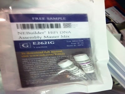 Creating Gene Knockouts in E. coli | Biocompare.com Kit/Reagent Review