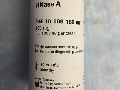 Decontamination of DNA from RNA Using RNase A | Biocompare.com Kit ...