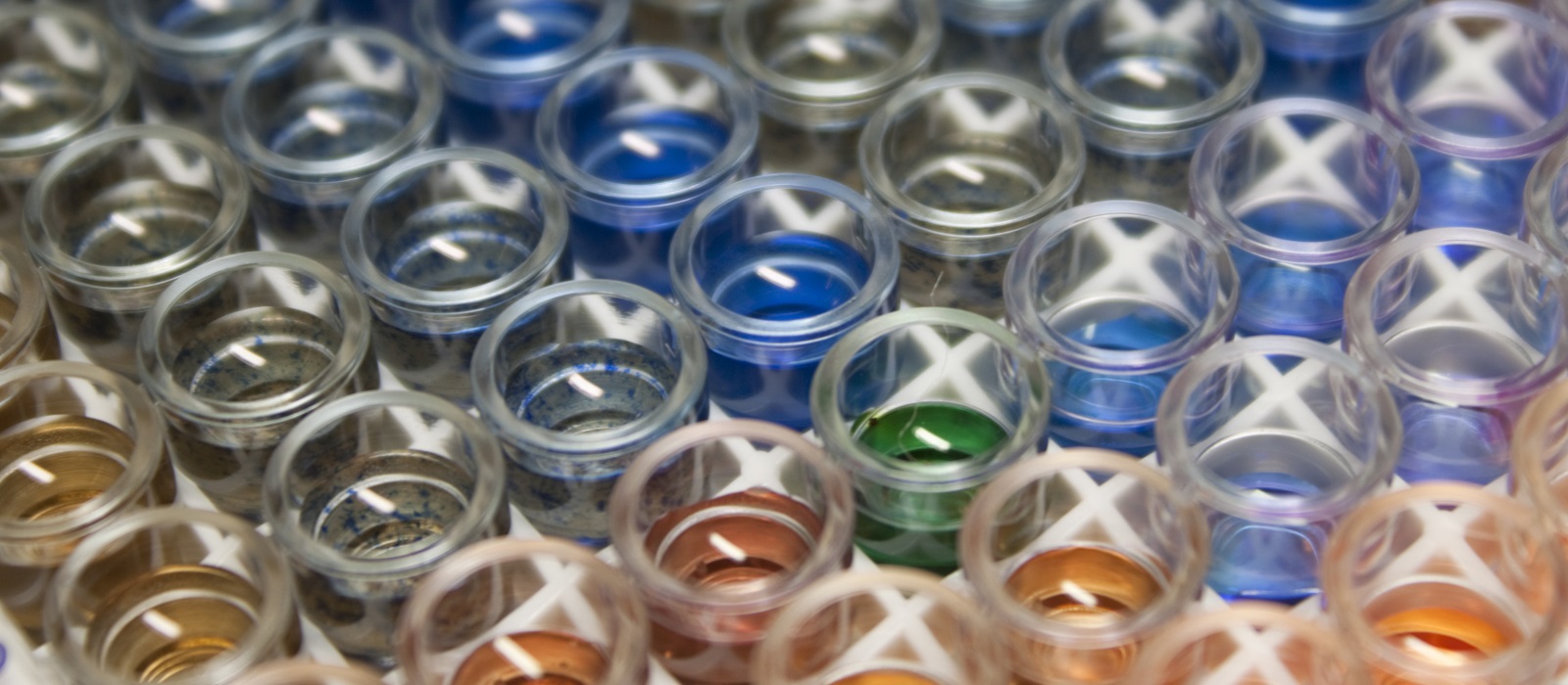 Assay Development: DIY or Use a Custom Service? | Biocompare: The Buyer ...