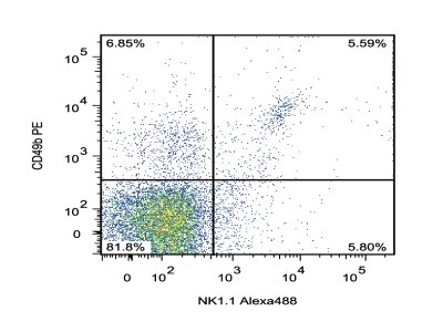 Staining Mouse Splenocytes With Anti-CD49b PE | Biocompare Antibody Review