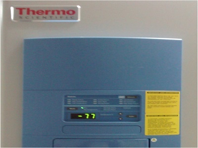 Very Good -80 Freezer to Keep Cell Culture Reagents and Freeze Cell ...