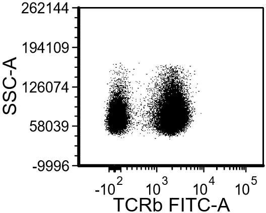 Consistent TCR beta Antibody | Biocompare Antibody Review