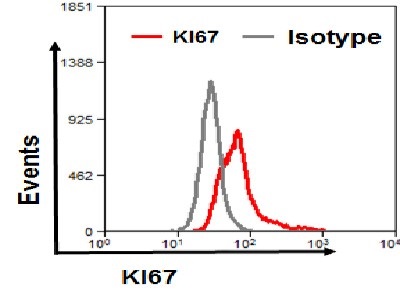 Excellent Flow Cytometry Antibody For Mouse/Human Ki67 | Biocompare ...