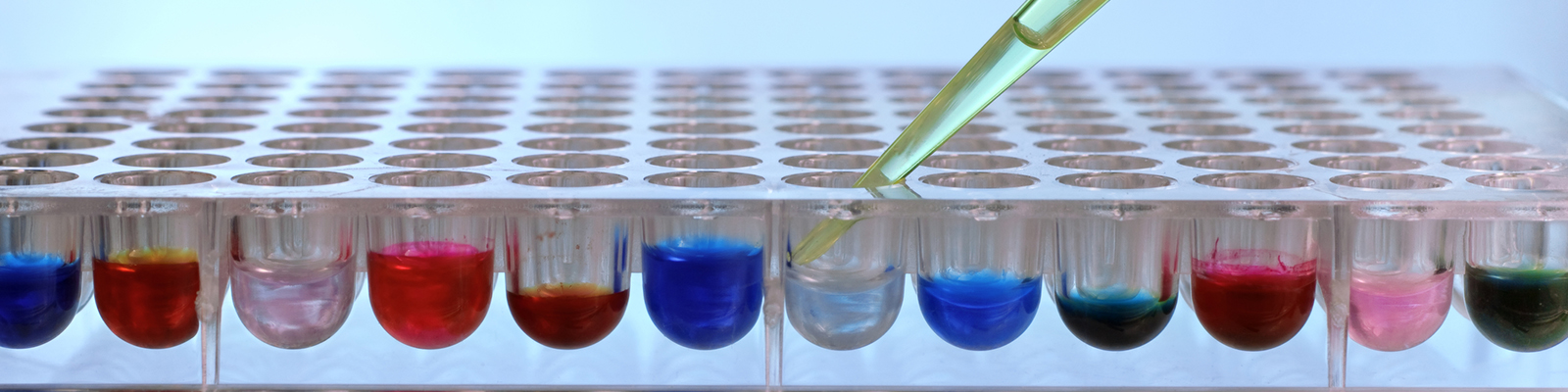 Improving Assay Development to Streamline Discovery | Biocompare: The ...