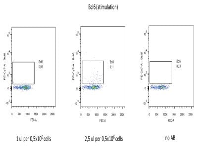 Intracellular Flow Cytometry Allows To Detect Bcl6+ T Cells ...
