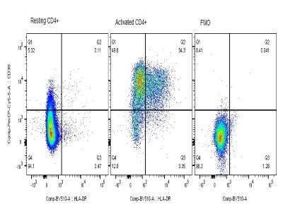 Good HLA-DR Staining On Human PBMCs | Biocompare Antibody Review