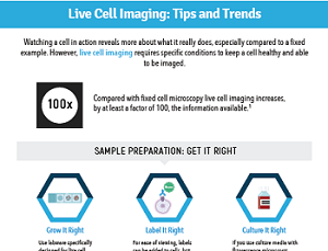 Infographic: Tips and Trends for Live Cell Imaging | Biocompare: The ...