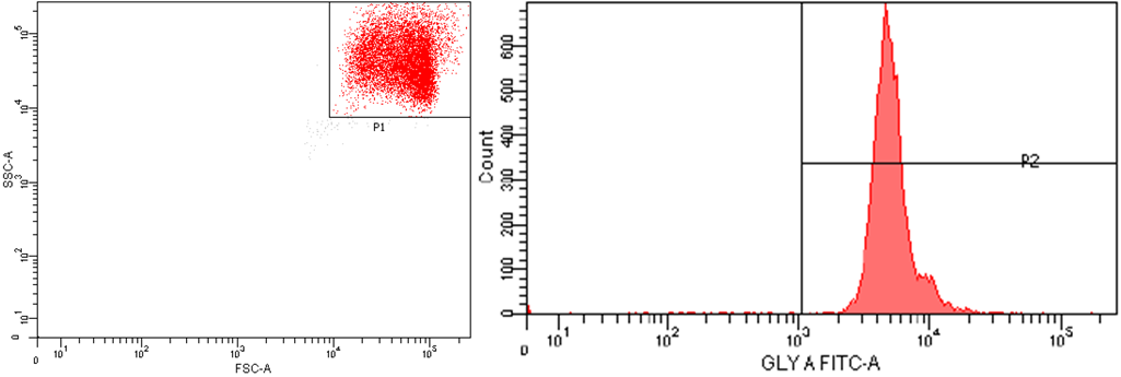 Staining RBCs with CD235a | Biocompare Antibody Review