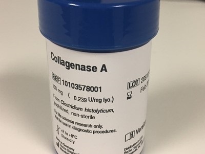 Collagenase for Mammary Gland Primary Cell Culture | Biocompare.com Kit ...