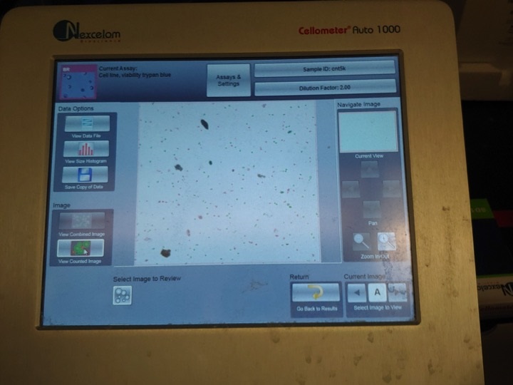 Automated Cell Counting | Biocompare.com Kit/Reagent Review