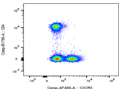 The Antibody Stains CXCR5+ Cells in the Lymph Nodes Very Well ...