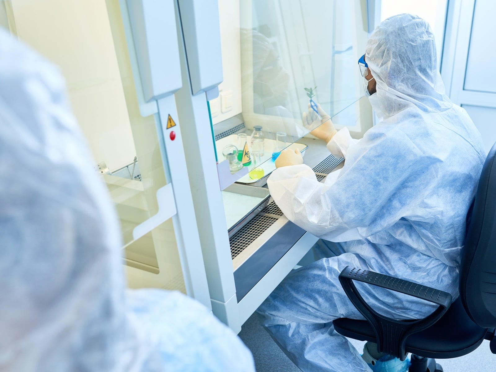 Best Practices for Multiple Users in a Biosafety Cabinet | Biocompare ...