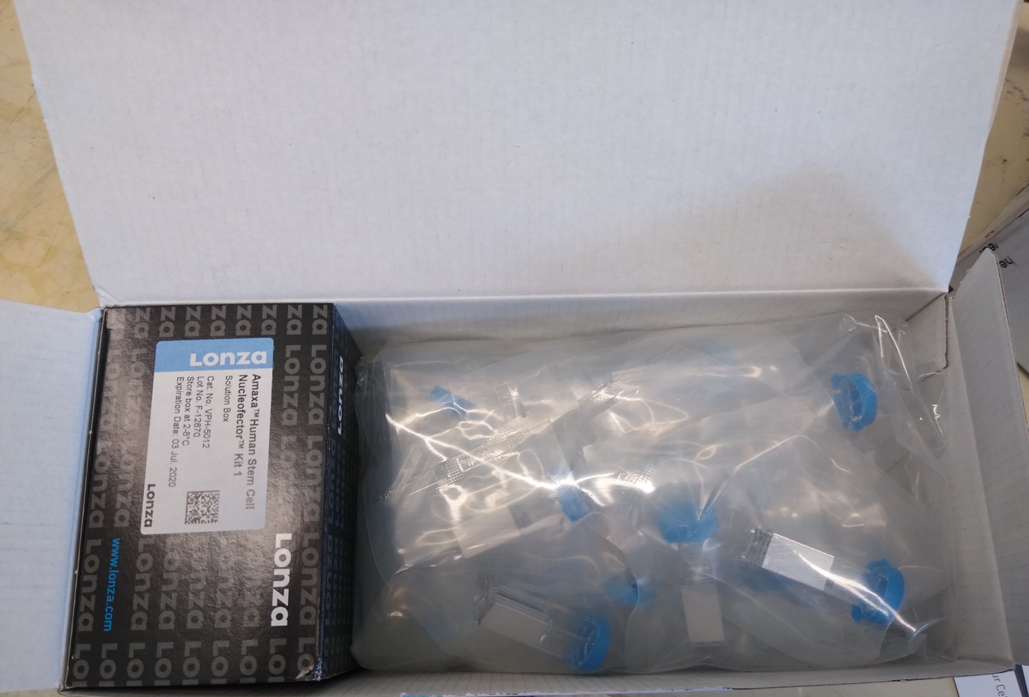 Transfection of Stem Cells with CRISPR Plasmids Using Lonza Kit ...