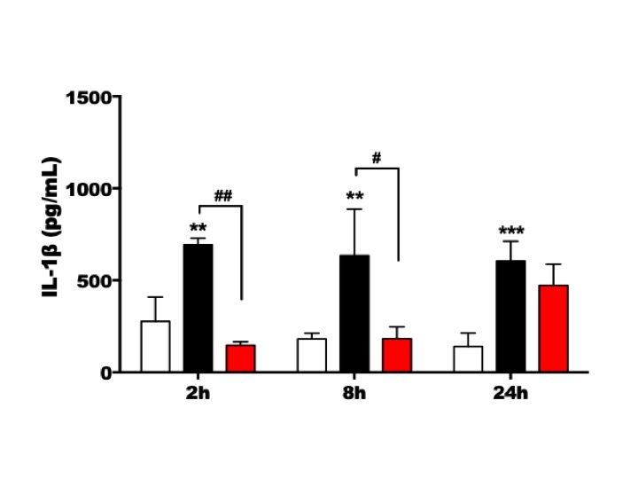 Differences in IL-1ß Levels in Primary Murine Microglia | Biocompare ...