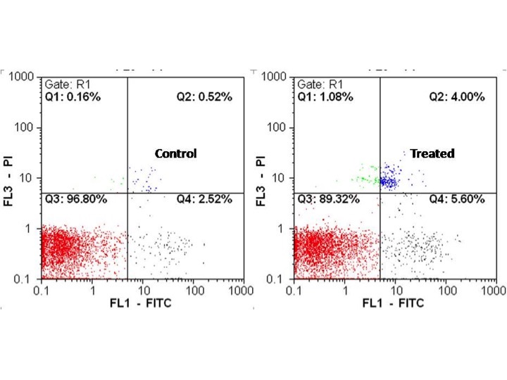 Excellent Apoptosis Detection Kit with Annexin V-FITC Conjugate and ...