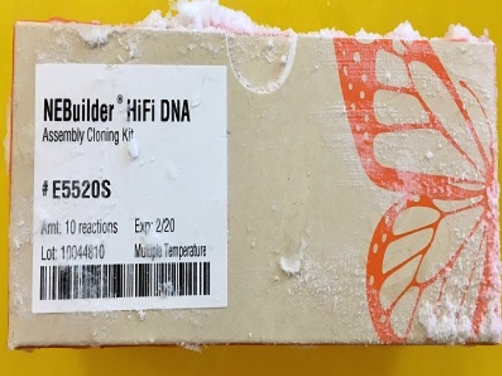 Dna Assembly Of Multiple Dna Fragments Kit Reagent Review