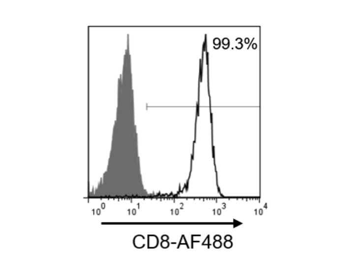 A Good Isotype Antibody for Assessing Non-Specific Antibody Binding on ...