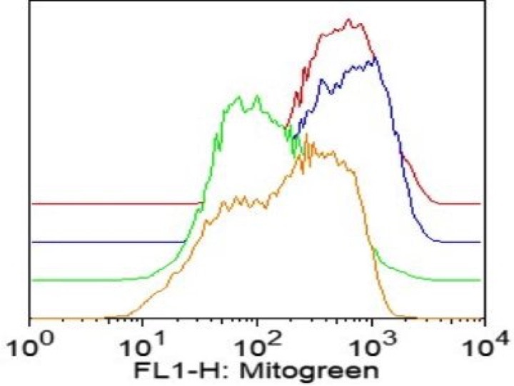 Good Staining for Mitochondria | Biocompare.com Kit/Reagent Review