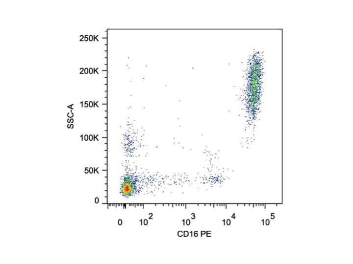 Staining Peripheral Blood with Anti-CD16 PE | Biocompare Antibody Review