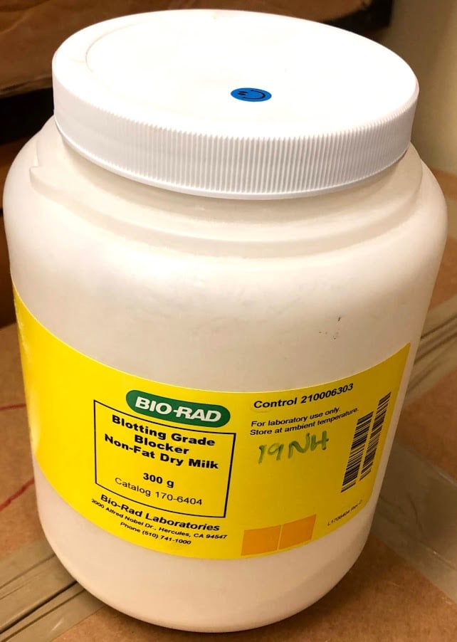 Blotting-Grade Blocker is Great for Western Blotting | Biocompare ...