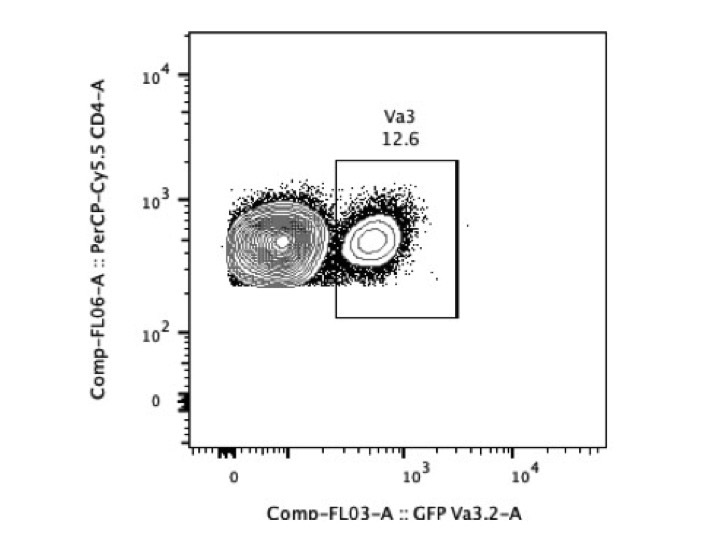Detection of Transferred 2D2 T cells | Biocompare Antibody Review