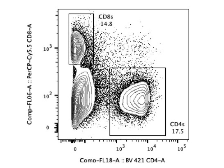 Detection of CD4 T Cells in Mouse Tissues | Biocompare Antibody Review