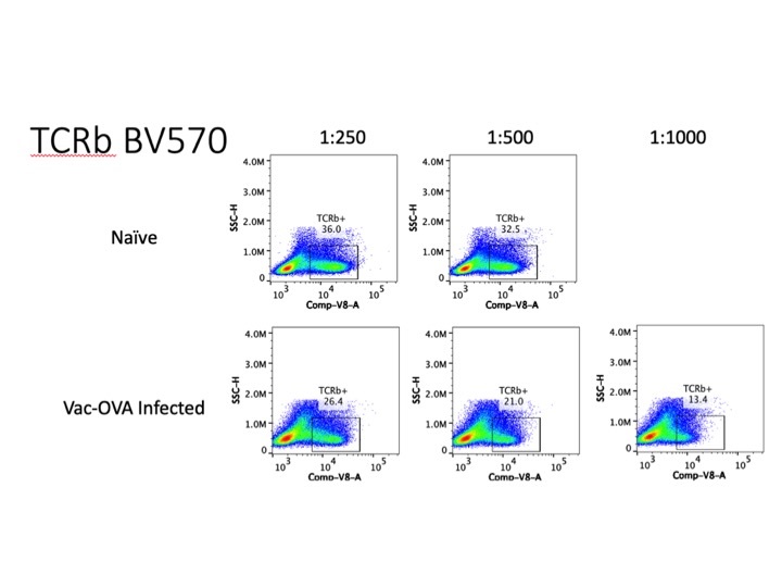 Great Antibody to Identify TCR Beta T Cells via Flow Cytometry ...