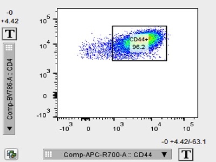 Excellent for Gating Out Activated Memory T Cells | Biocompare Antibody ...