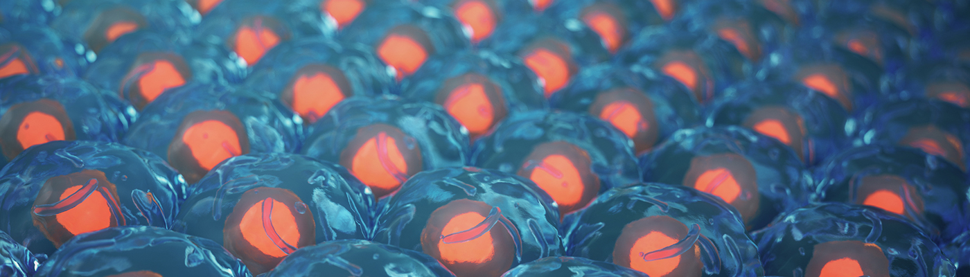 Cell-Based Assays in 2D and 3D | Biocompare: The Buyer's Guide for Life ...