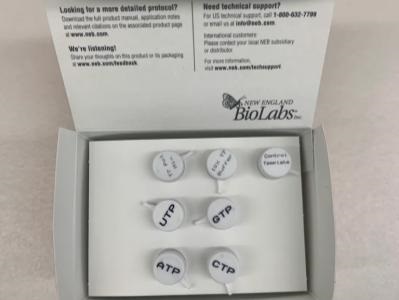 Great HiScribe RNA Synthesis Kit | Biocompare.com Kit/Reagent Review