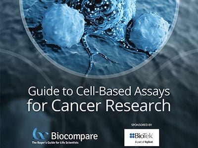 Guide to Cell-Based Assays for Cancer Research | Biocompare.com