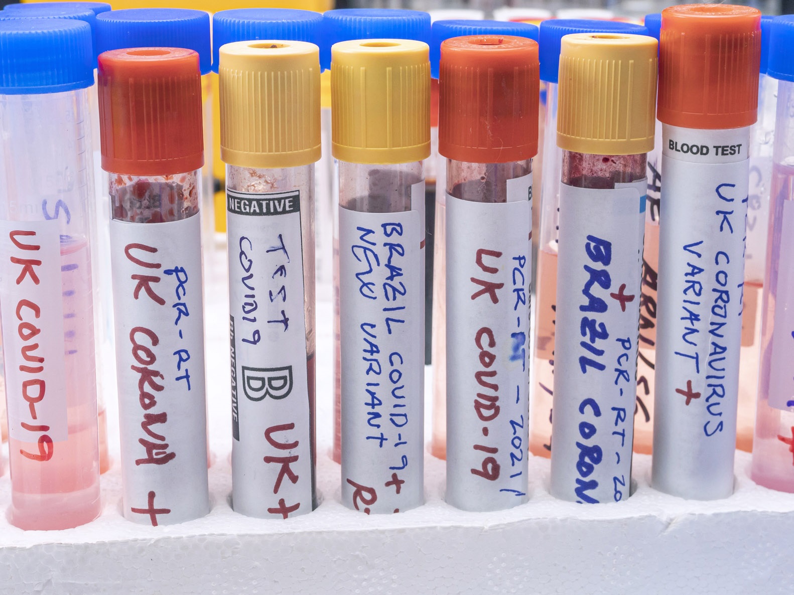 FL White Paper COVID | Biocompare.com