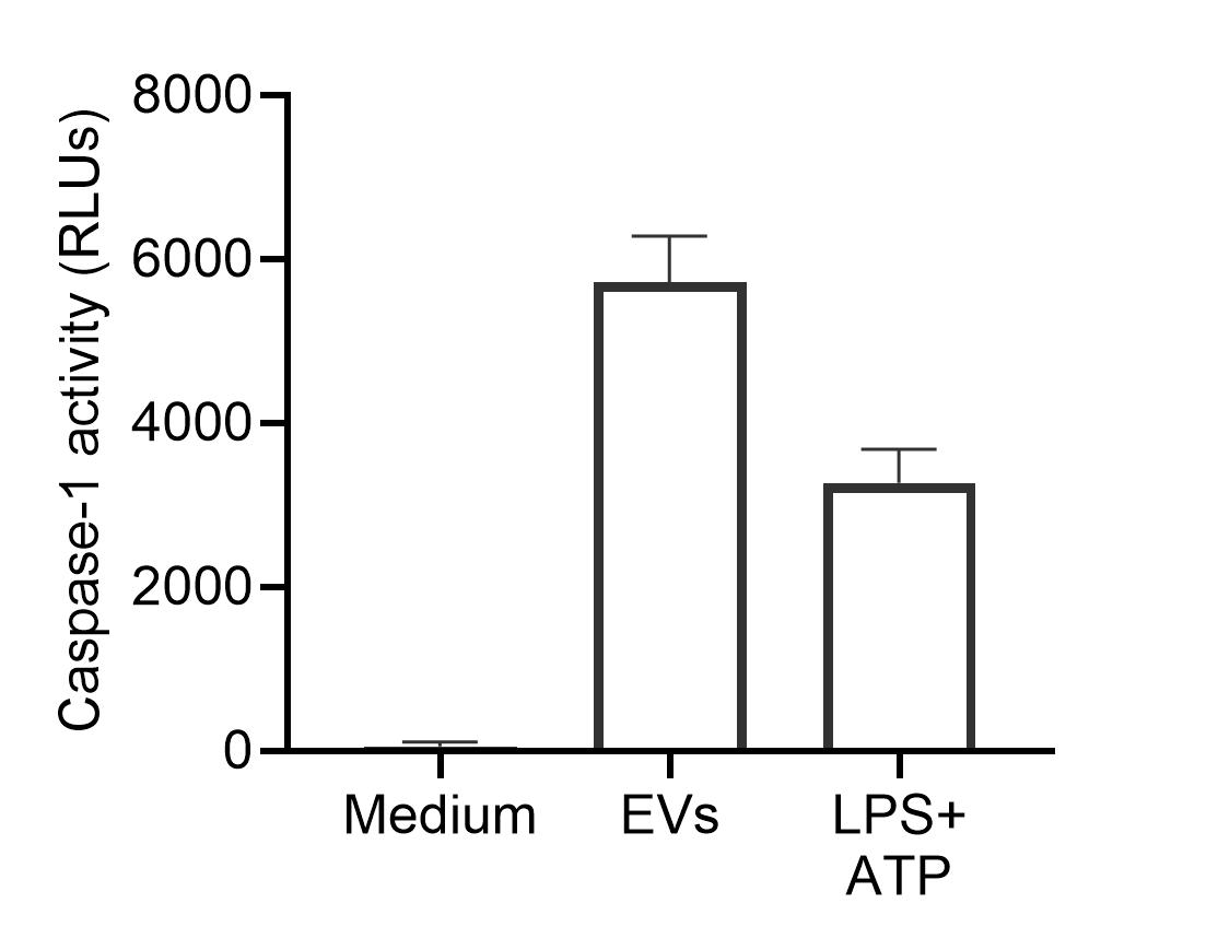 The Caspase-1 Kit Works Well | Biocompare.com Kit/Reagent Review