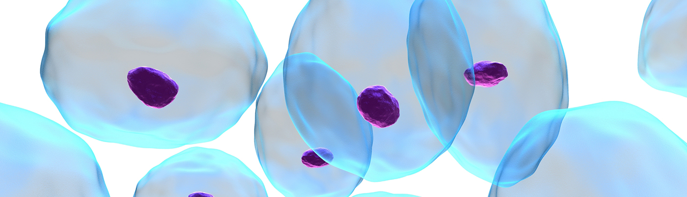 Expanding Live-Cell Imaging Applications in Drug Discovery | Biocompare ...