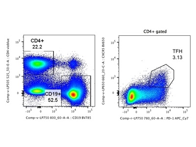 Reasonable CXCR5 for TFH staining | Biocompare Antibody Review