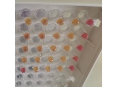 Overall a Fantastic LAMP Kit | Biocompare.com Kit/Reagent Review