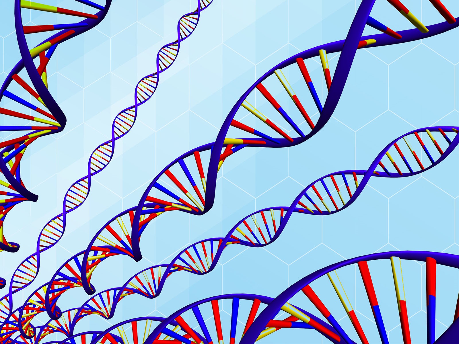 Infographic Ngs Library Prep Troubleshooting Guide