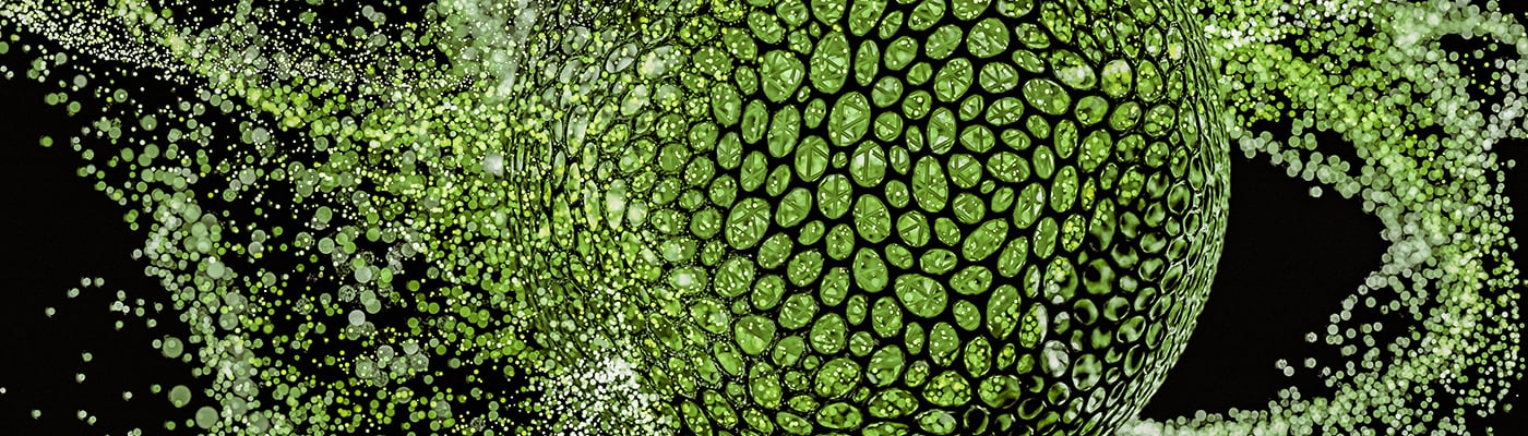Benefits of Real-Time Live-Cell Imaging | Biocompare: The Buyer's Guide ...