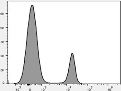 Good Effector T Cell Antibody | Biocompare Antibody Review