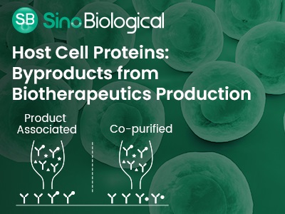 Testing for Host Cell Proteins | Biocompare: The Buyer's Guide for Life ...