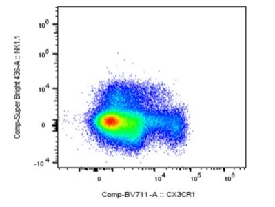 Excellent Antibody for Effector Memory T Cells | Biocompare Antibody Review