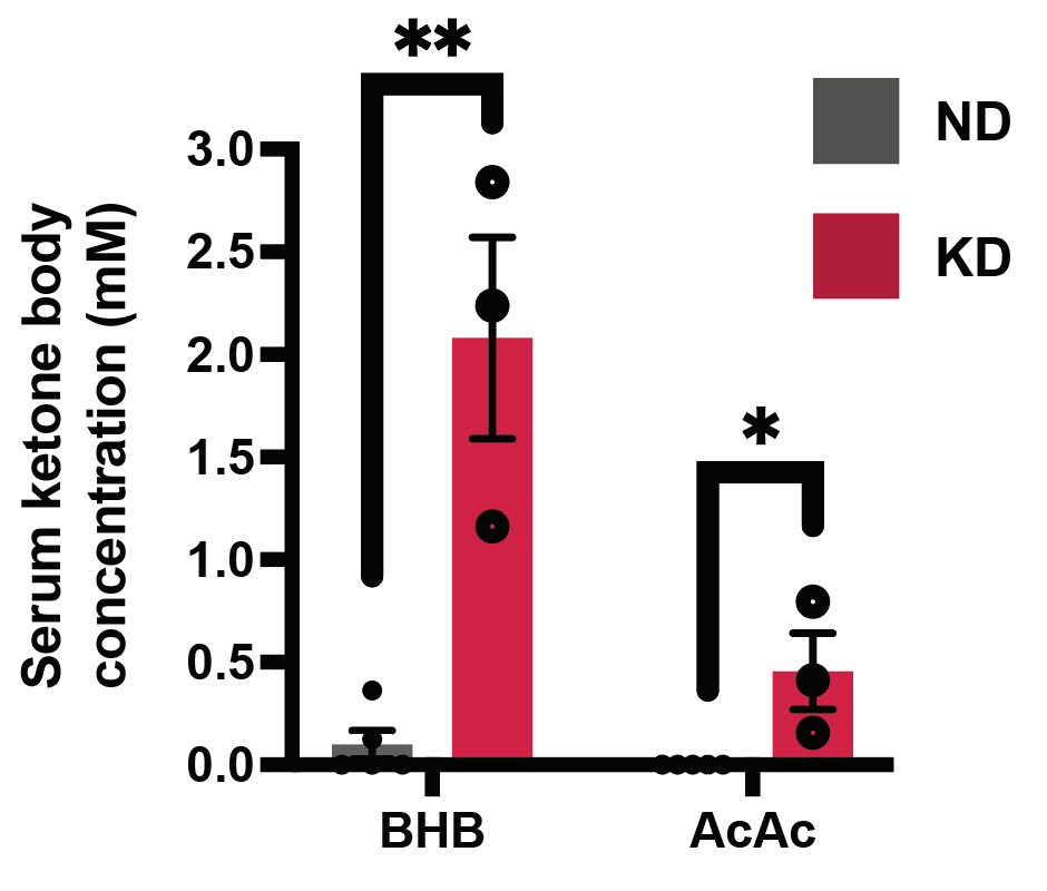 Great Assays to Measure BHB and AcAc | Biocompare.com Kit/Reagent Review