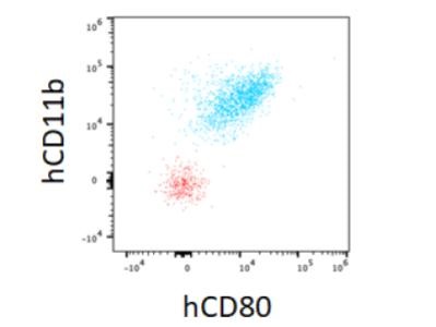 CD80 Antibody Works Very Well for Flow Cytometry | Biocompare Antibody ...