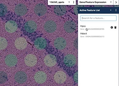 Watch Video: Spatial Gene Expression | Biocompare Streaming Video